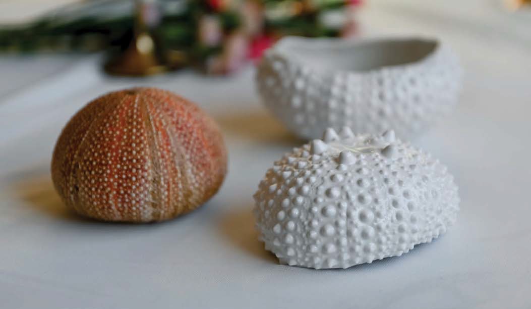 Tikhoretsky Porcelain и Villin’s меняют эстетику ресторанной подачи ...
